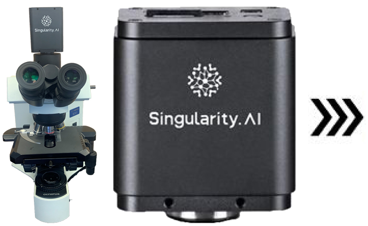 Singularity.AI – Digital Pathology