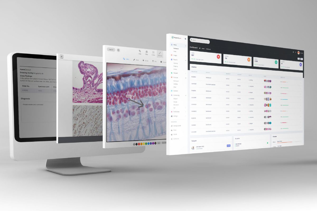 Software Solution - Singularity.AI