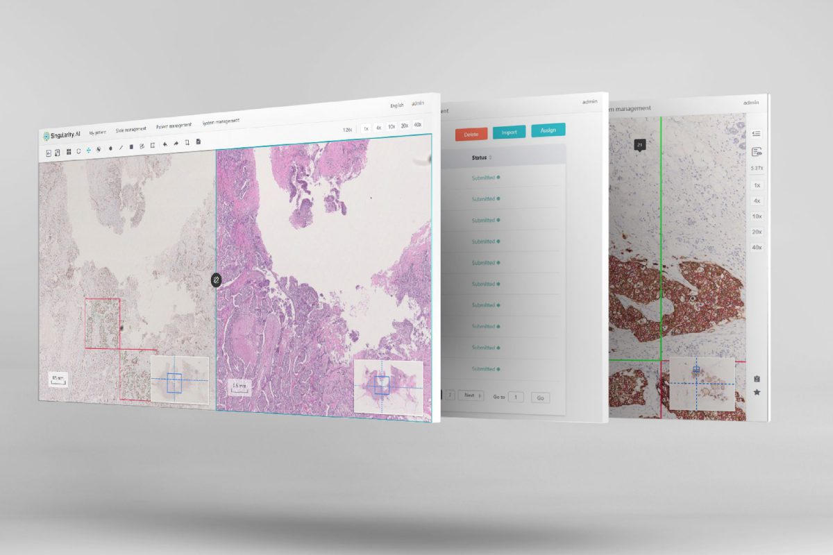 Software Solution - Singularity.AI